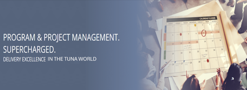 Project/Program Management – PM Power Consulting