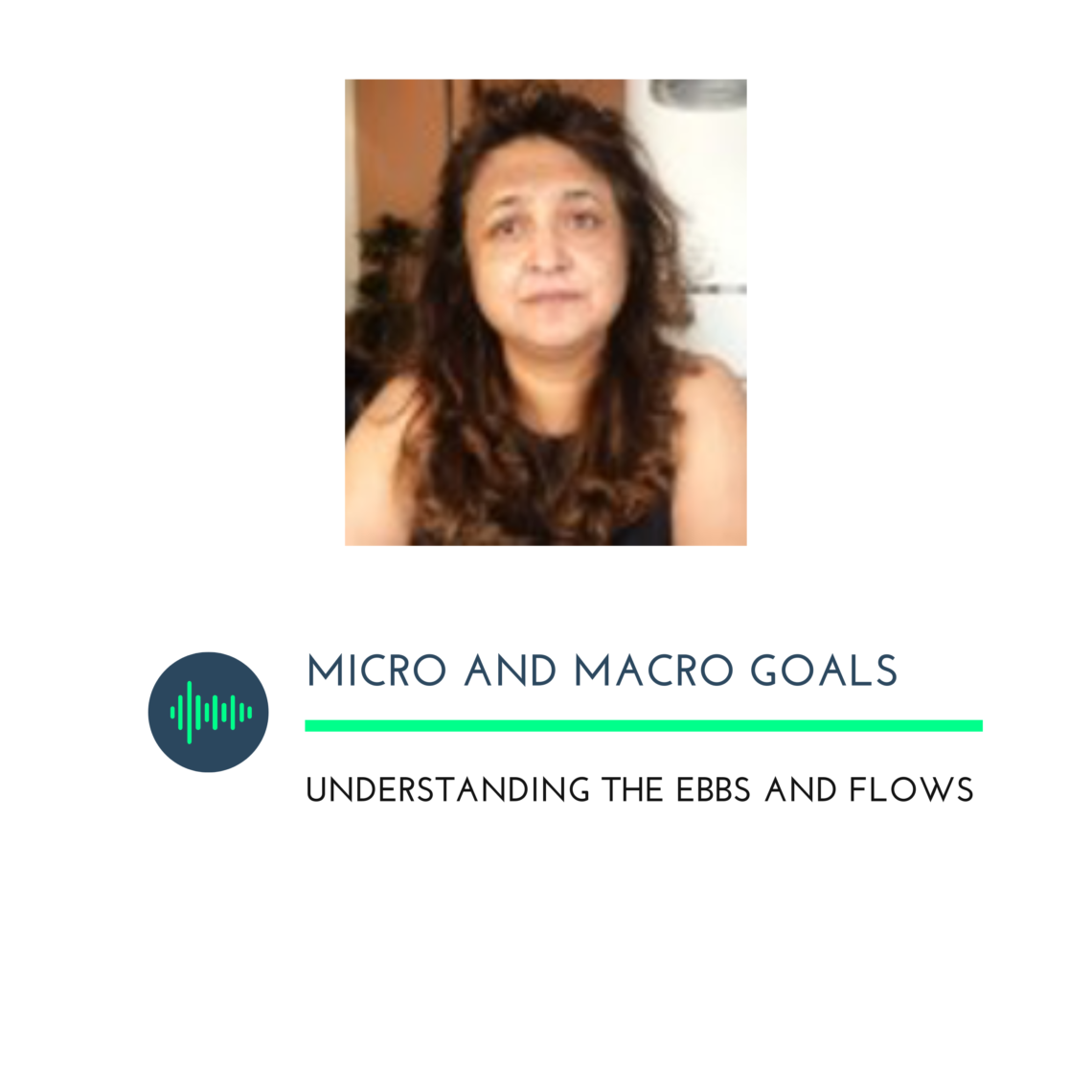 Micro and Macro Goals with Puja Issar – PM Power Consulting