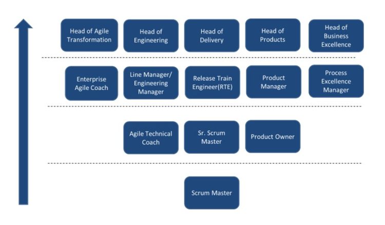 Navigating Career Paths as a Scrum Master – PM Power Consulting