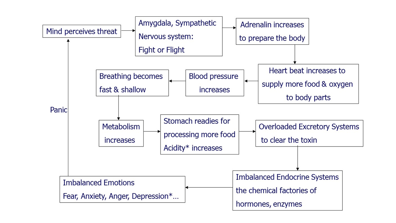 Dealing with Fear@Work – PM Power Consulting